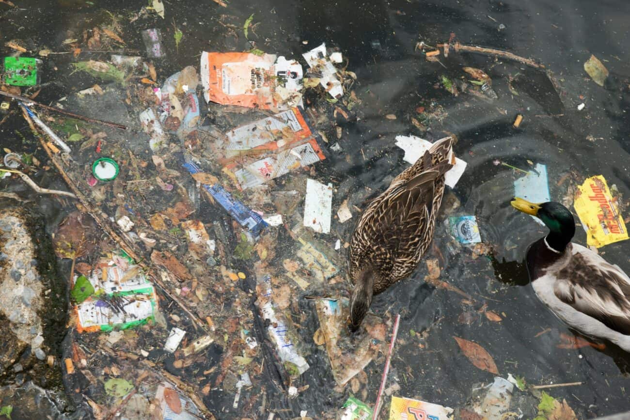 Maximising Landfill Diversion: A Full Guide for Responsible Waste ...